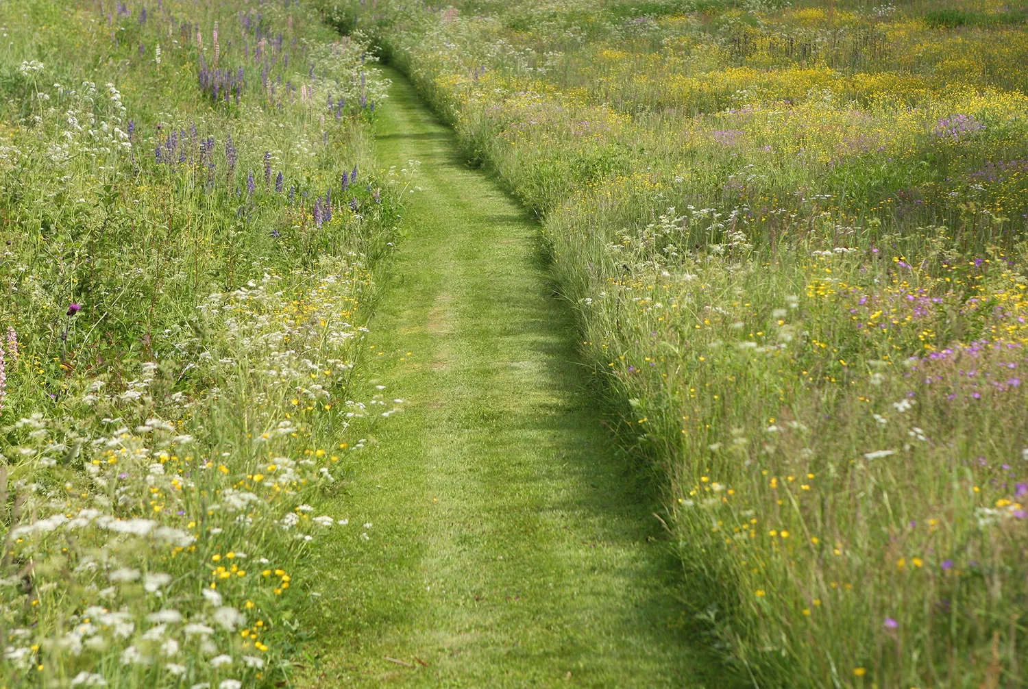 Washbrook Meadows Retreat