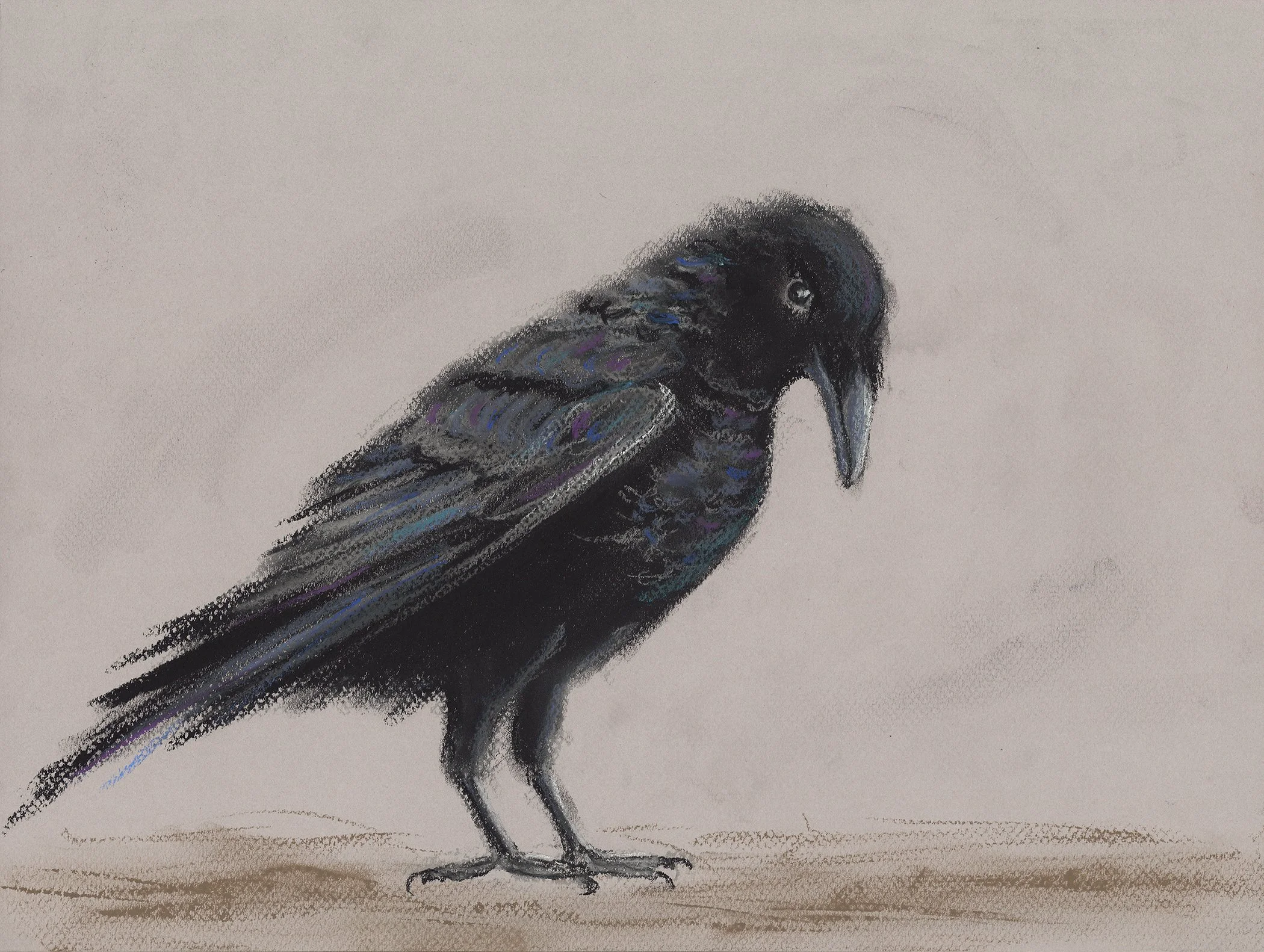 Karina Racz Art + Illustration