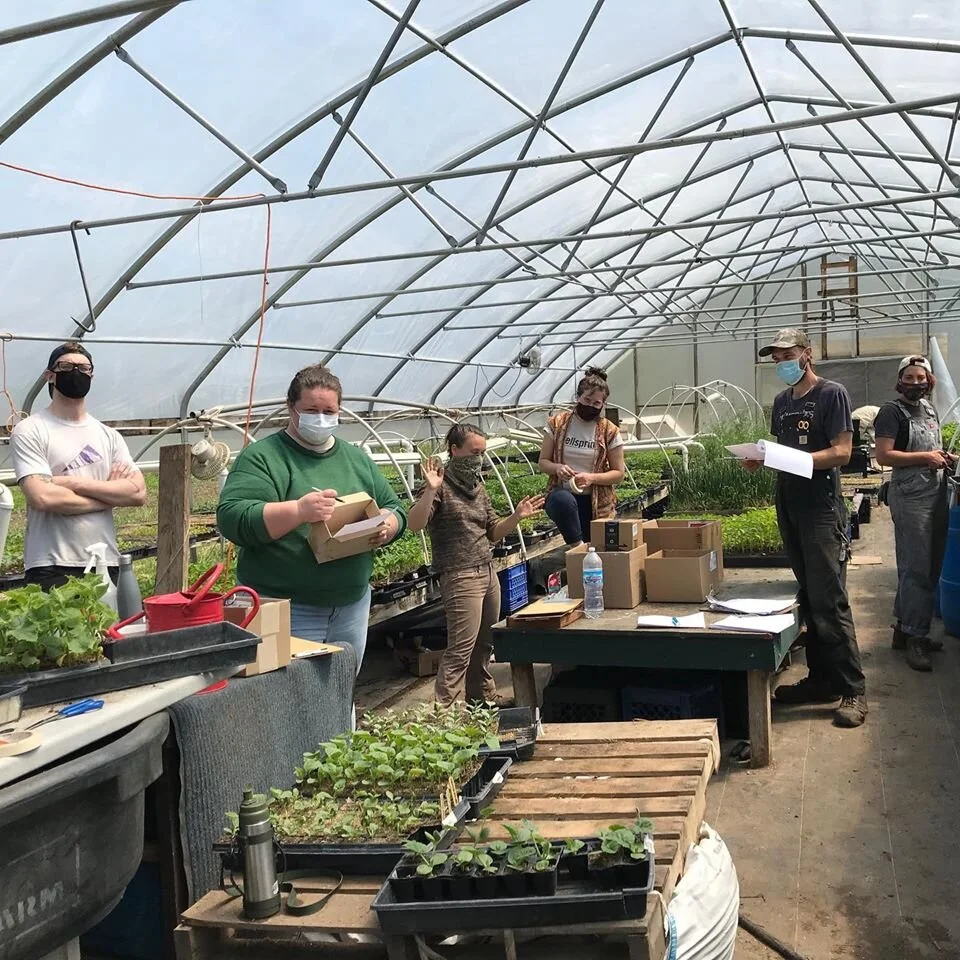 Our Farm Story | Winterspring Farm — Winterspring Farm