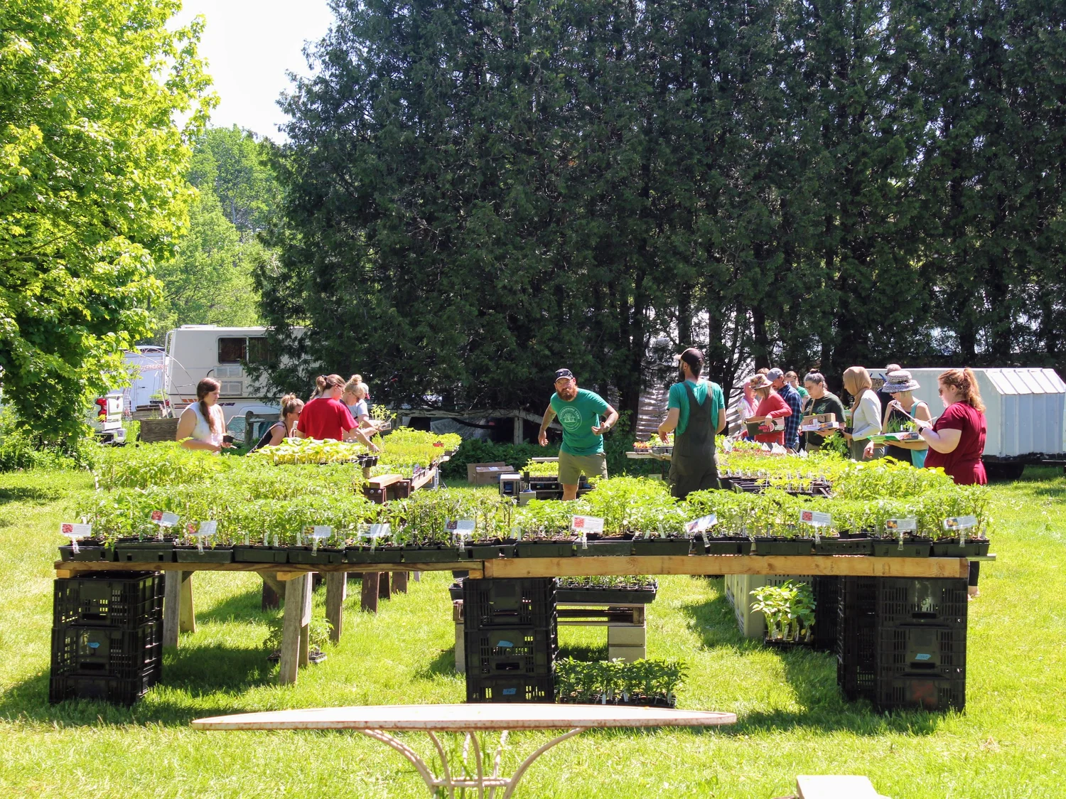 Winterspring Farm • Fresh organic vegetables