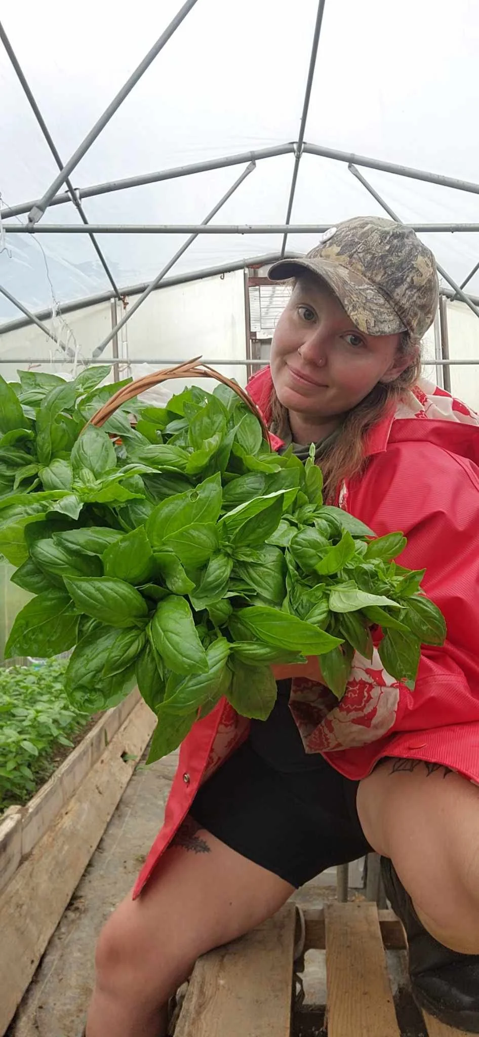 Basil — Winterspring Farm