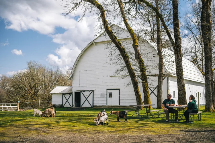 Snowbird Farm & Cidery