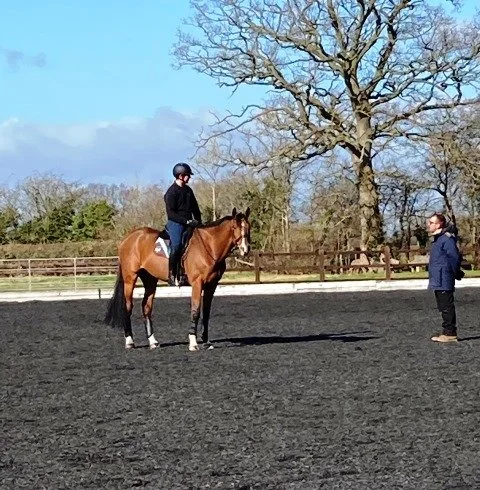 Meet the Team — David Doel at Reybridge Eventing