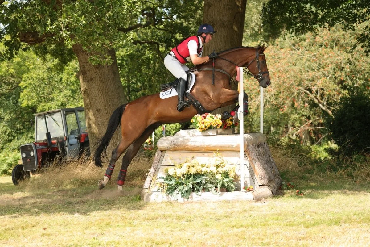 Tudor Gold — David Doel at Reybridge Eventing