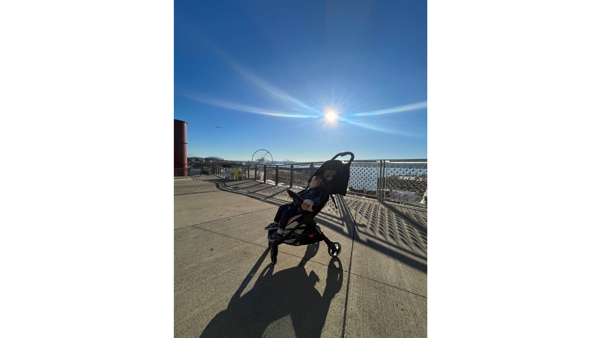 Phil&Ted Stroller review — Little Winks Sleep