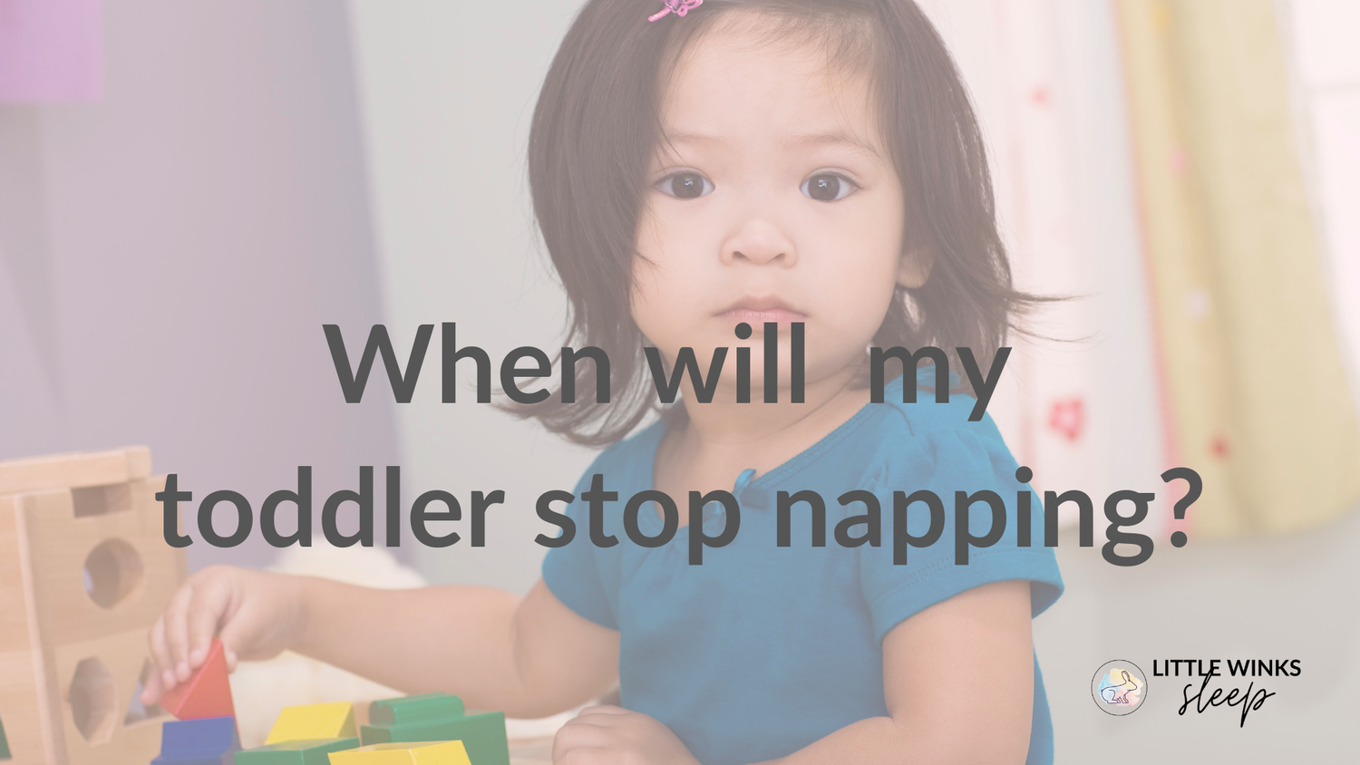 When will my toddler stop napping? — Little Winks Sleep