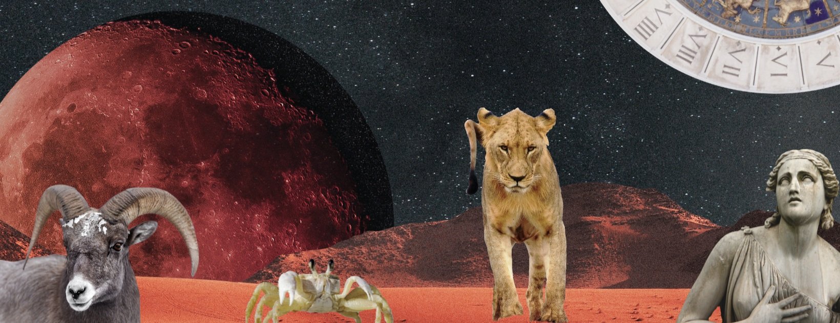 Store 1 — Chloe Smart Astrology