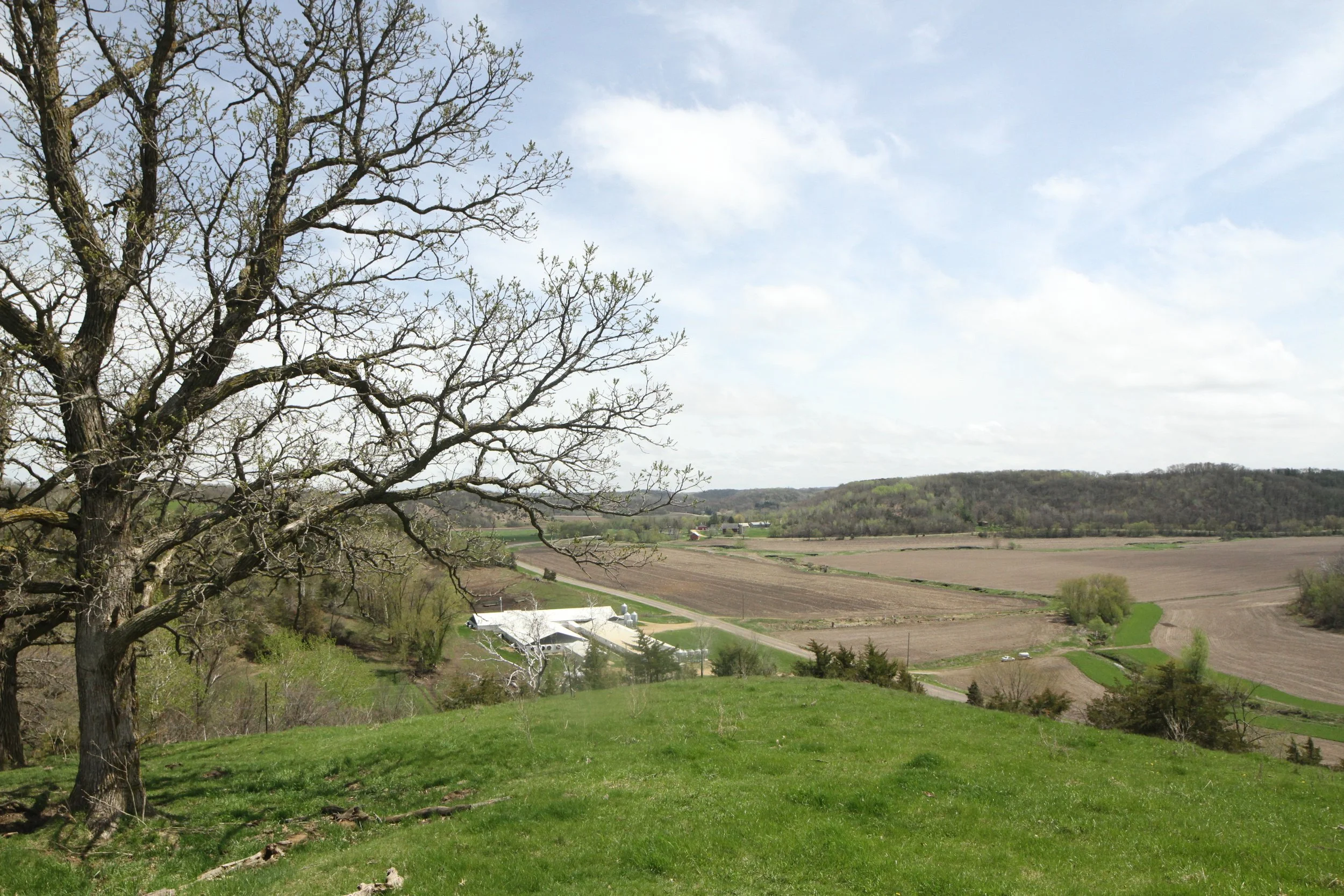 Schafer Farms