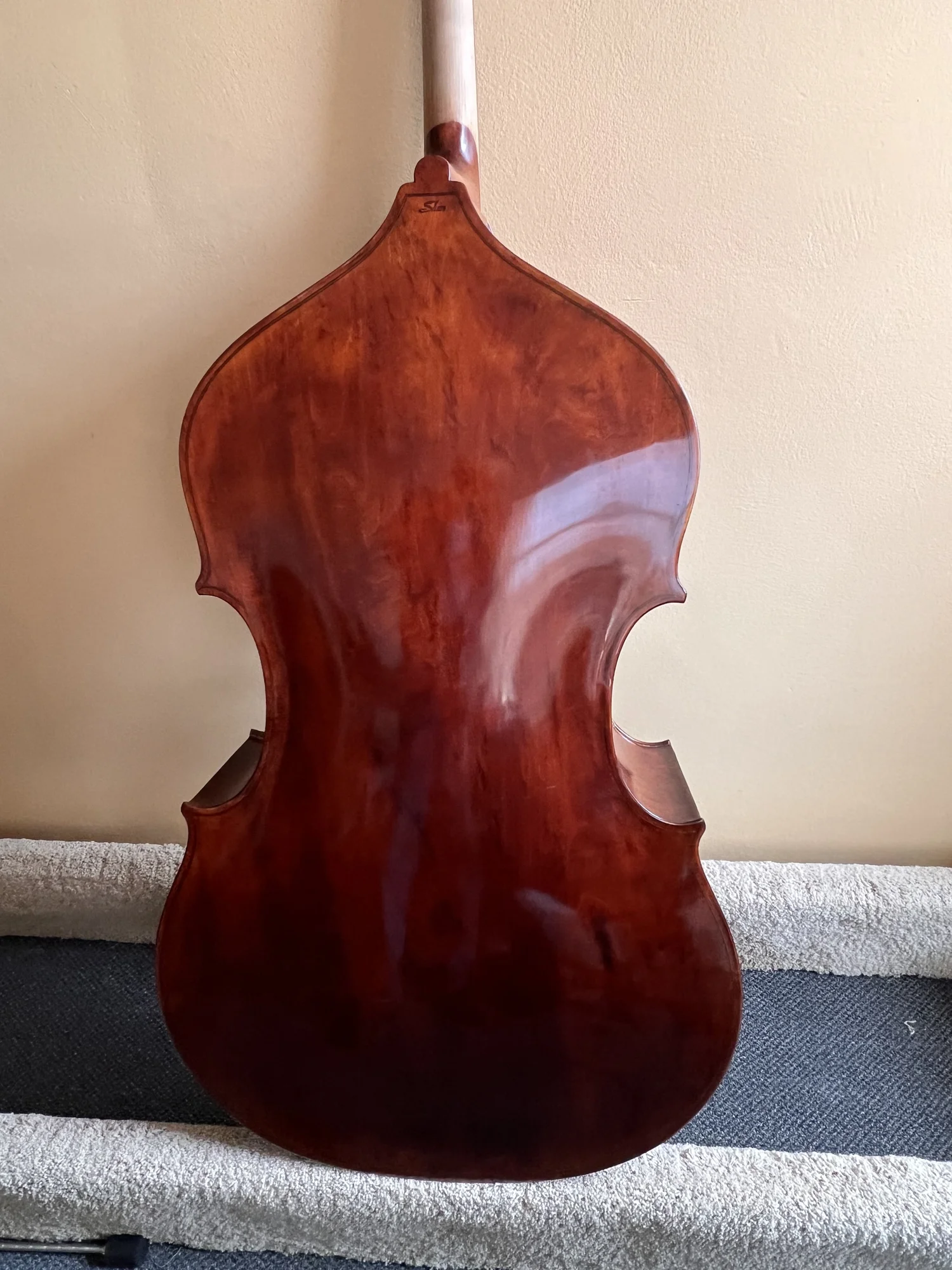 Shen Bass For Sale & Dealer Philadelphia, PA | Wallace Bass Shop ...