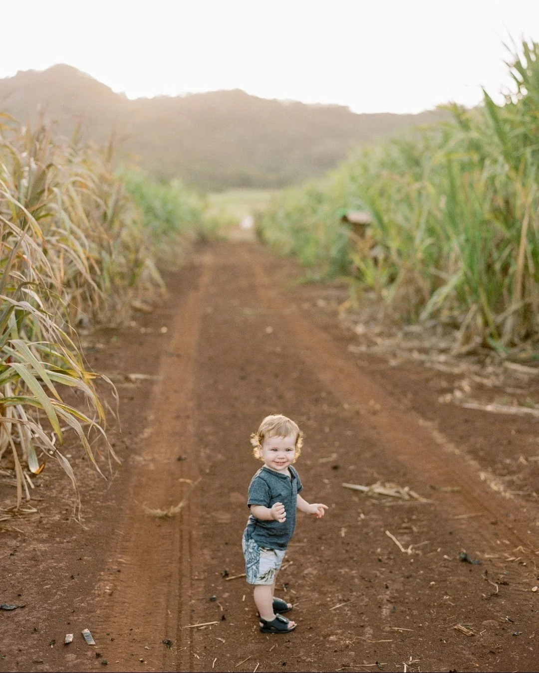 Our Journey — Kō Hana Rum