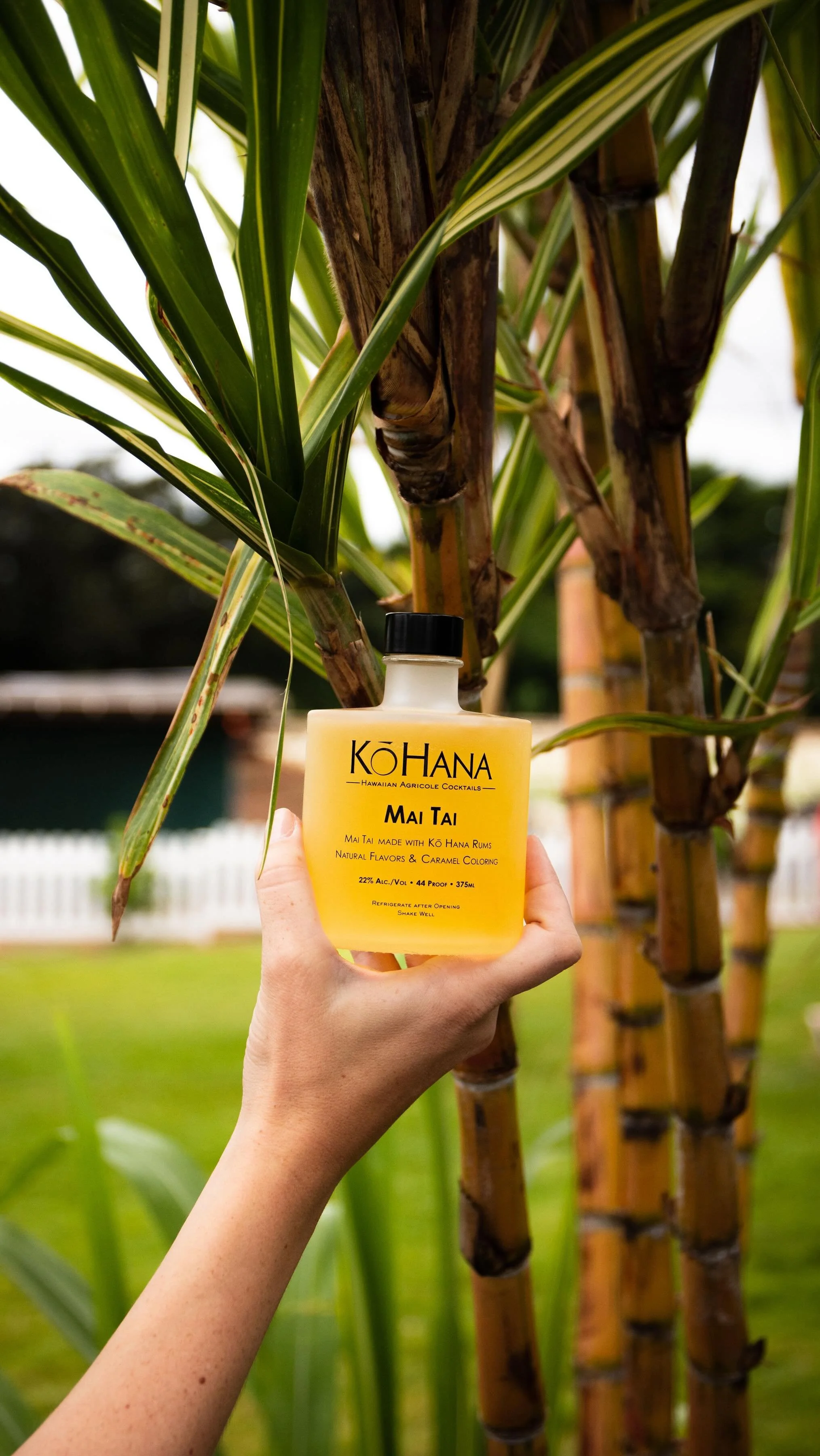 Visit — Kō Hana Rum