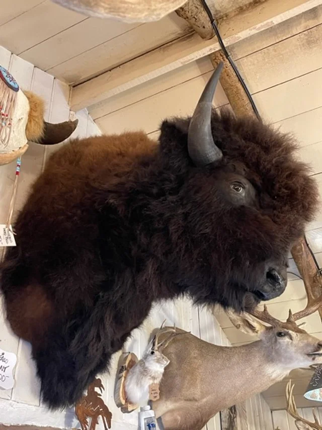 Shop Now — Wooly Bears Mountain Man Store