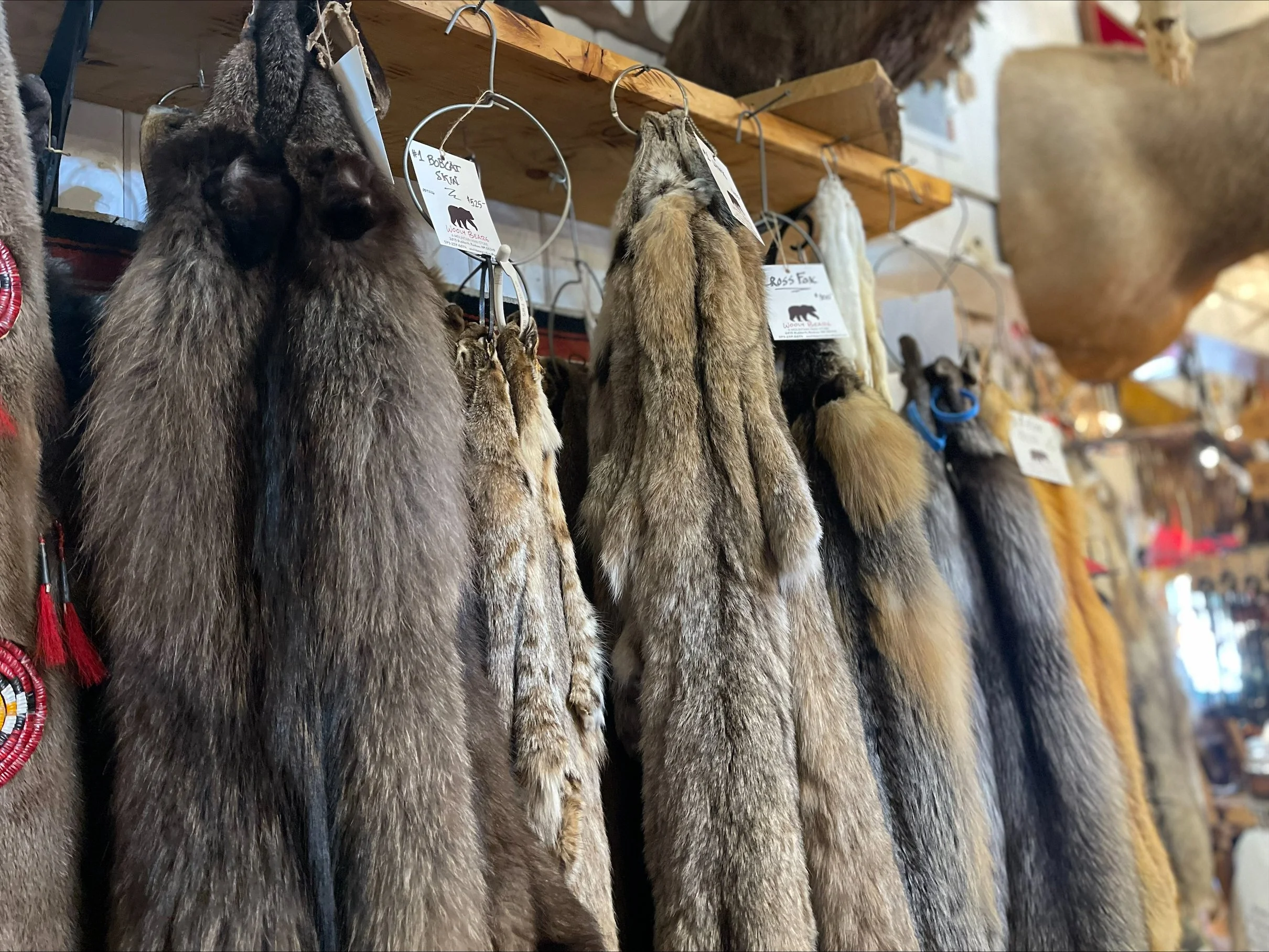 Wooly Bears Mountain Man Store