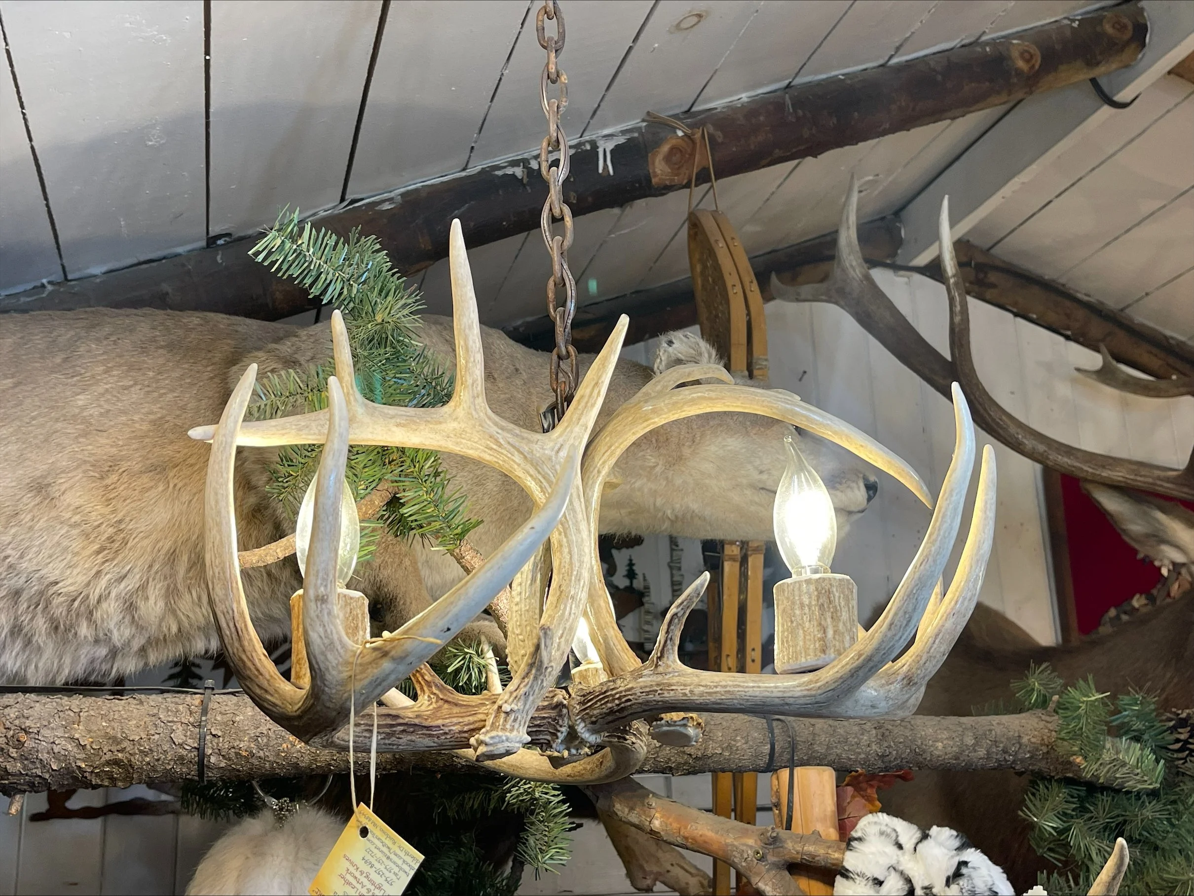 Wooly Bears Mountain Man Store