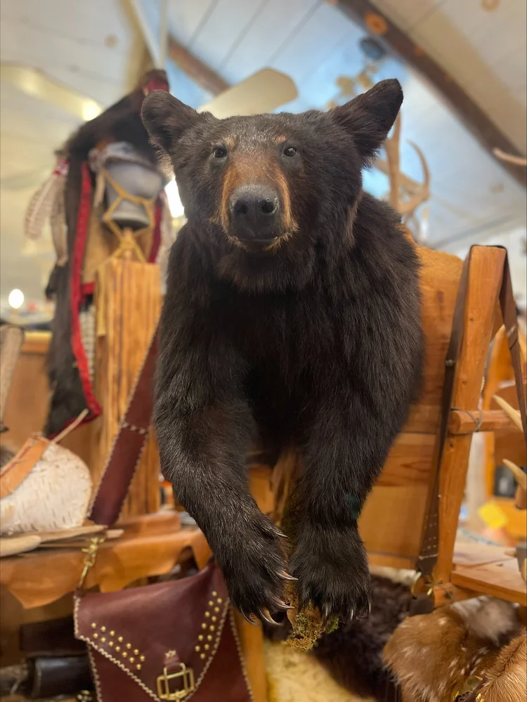 Wooly Bears Mountain Man Store