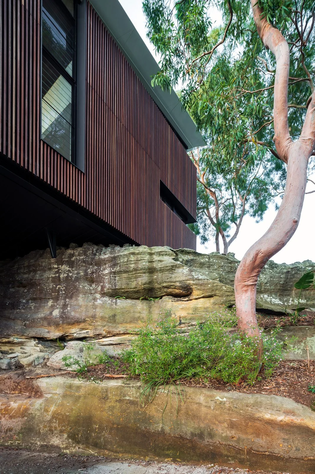 Higher Ground — STAFFORD ARCHITECTURE
