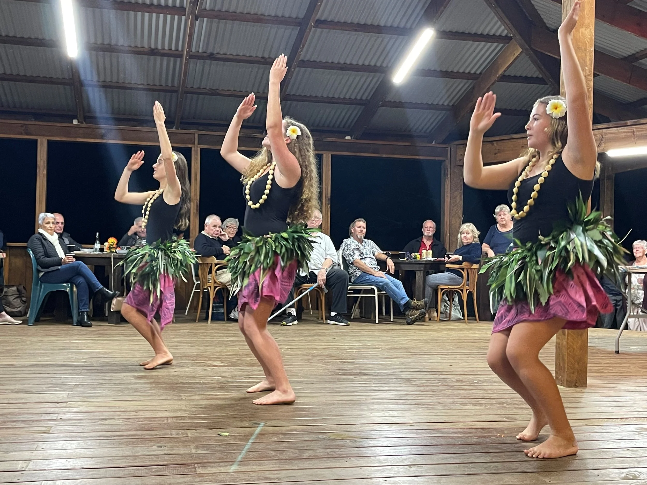 Experience Norfolk Island like never before on our famous Island Fish ...