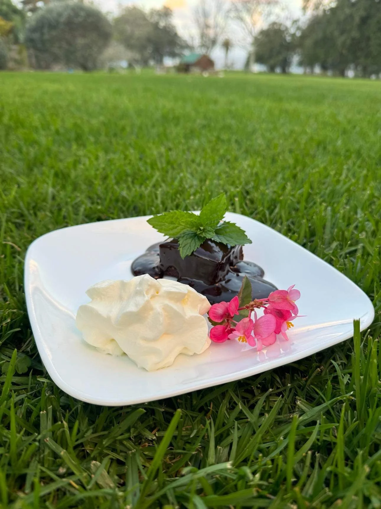 Paddock to Plate | Norfolk Island — Pinetree Tours