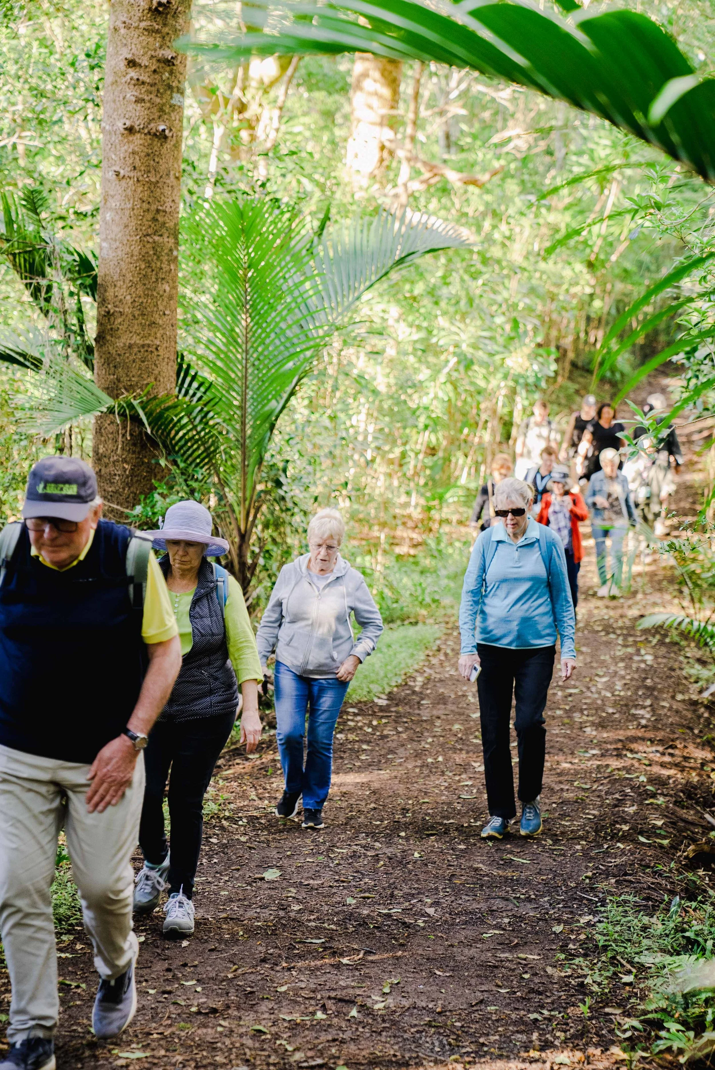 Breakfast Bushwalk & Clifftop Barbecue — Pinetree Tours