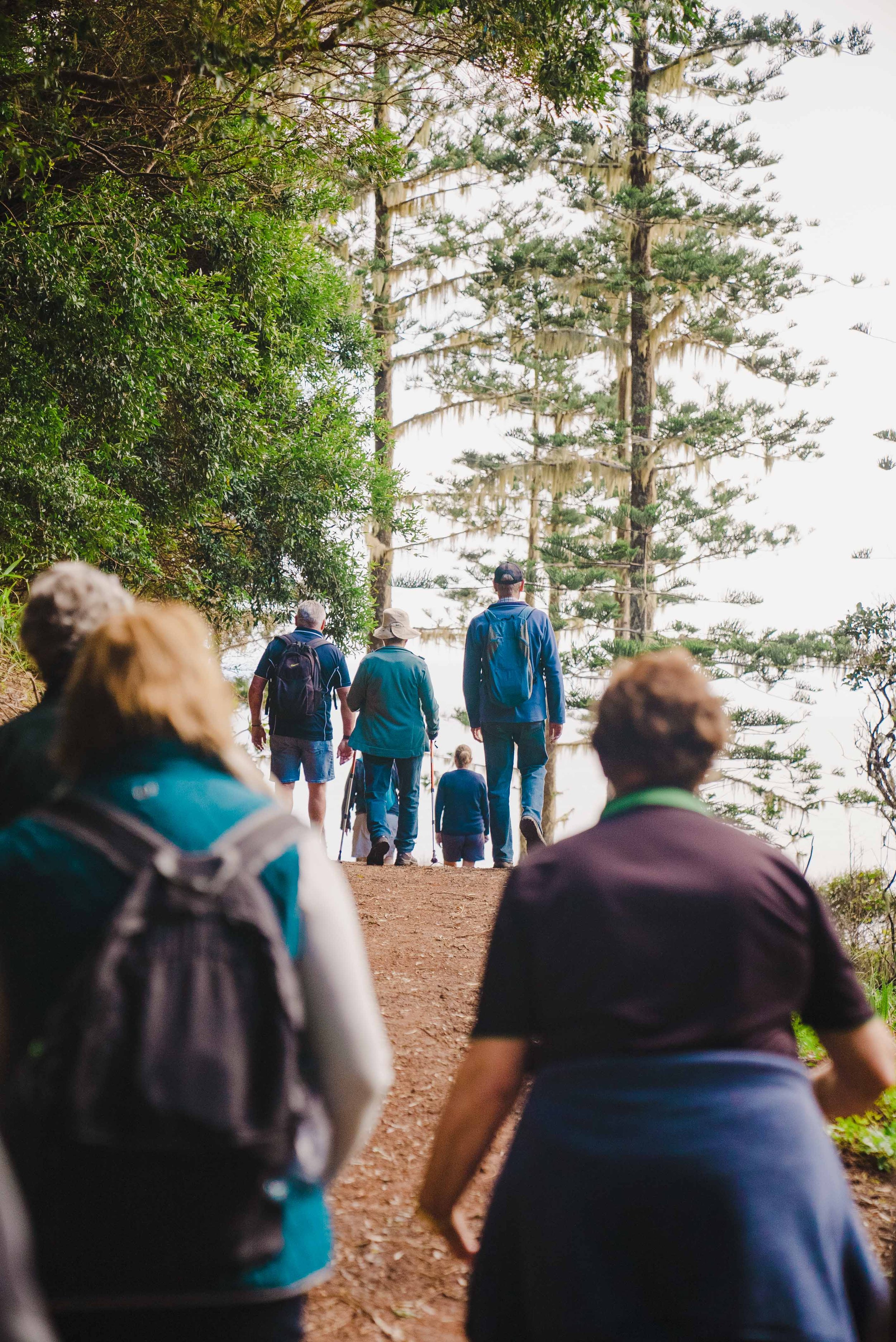 Breakfast Bushwalk & Clifftop Barbecue — Pinetree Tours