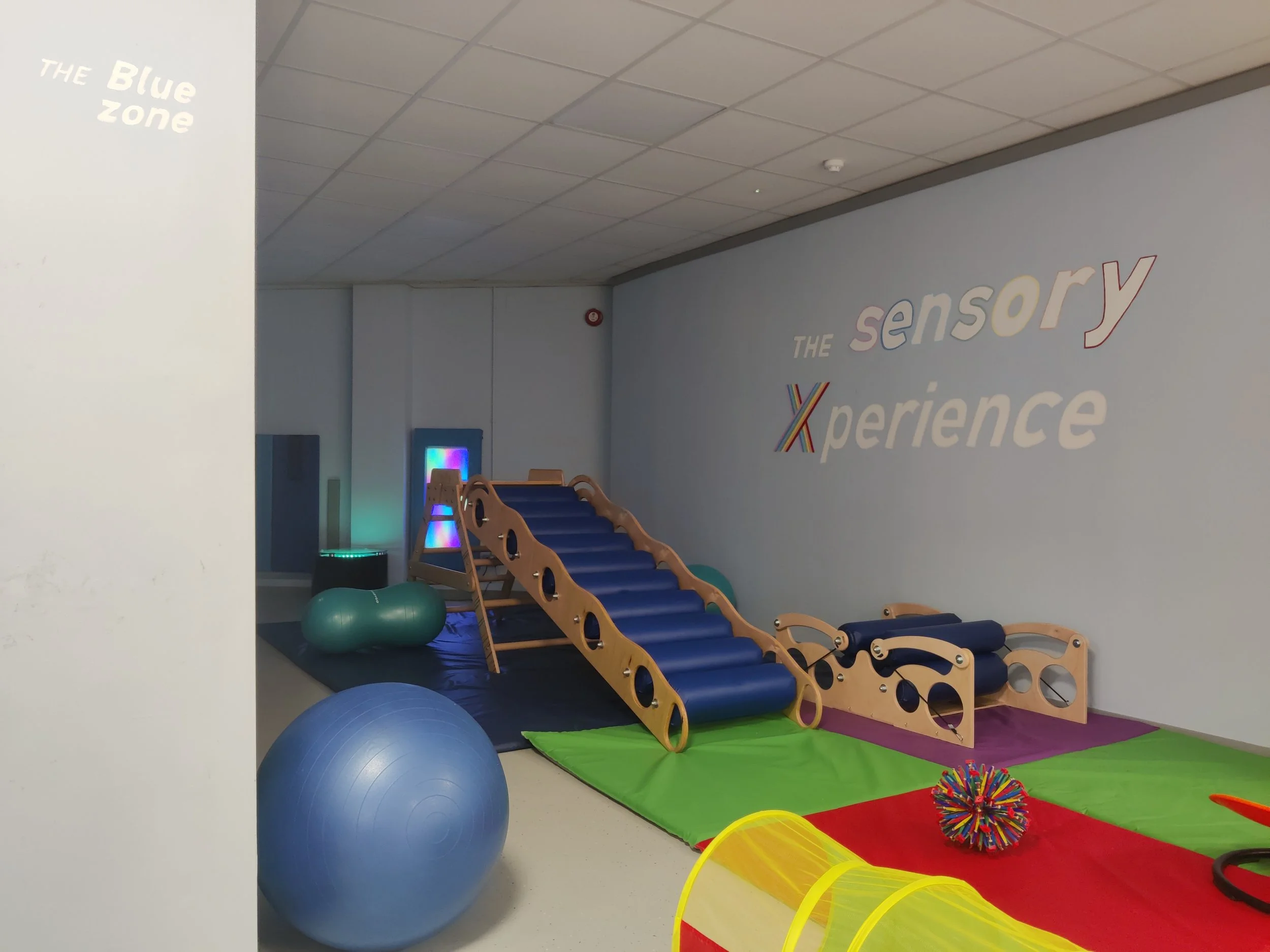 The Sensory Xperience