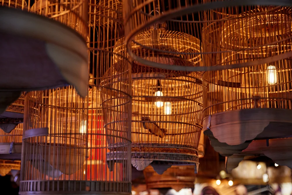 Yuu Kitchen | Asian Restaurant Spitalfields, London