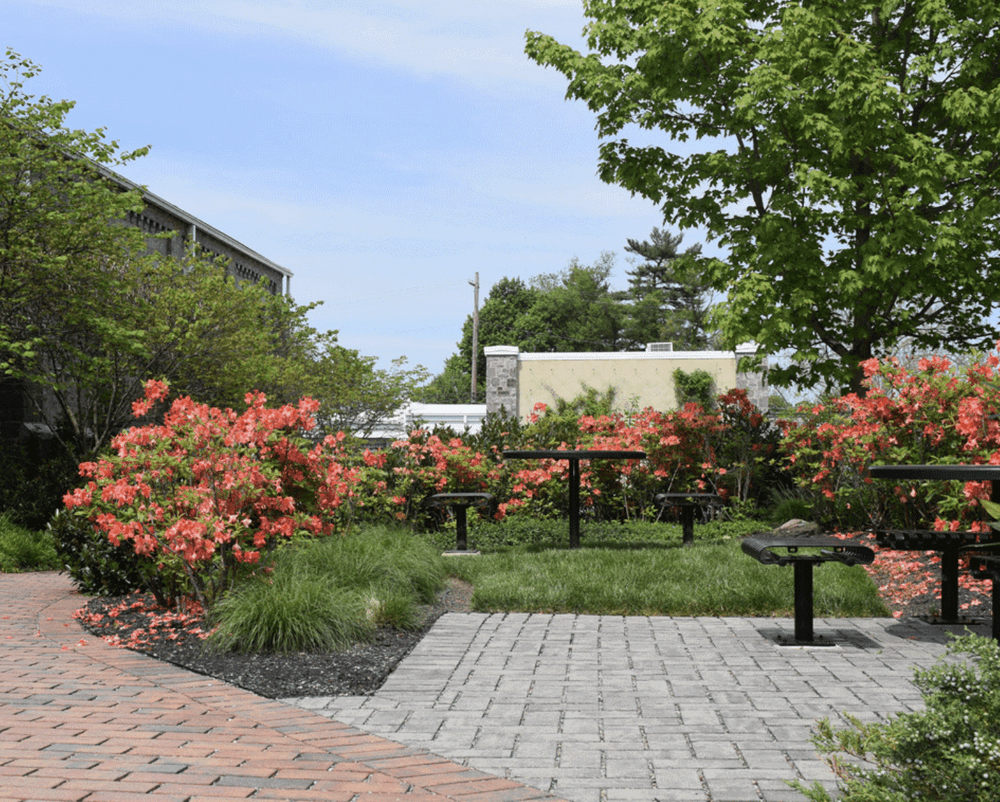 Projects — Frederick Ward Associates