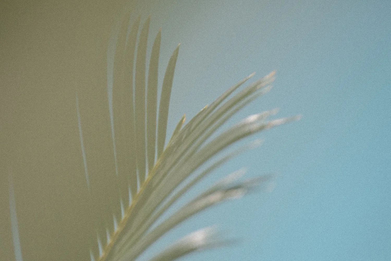 YARA HOTEL - Boutique Luxury Desert Oasis in Palm Springs