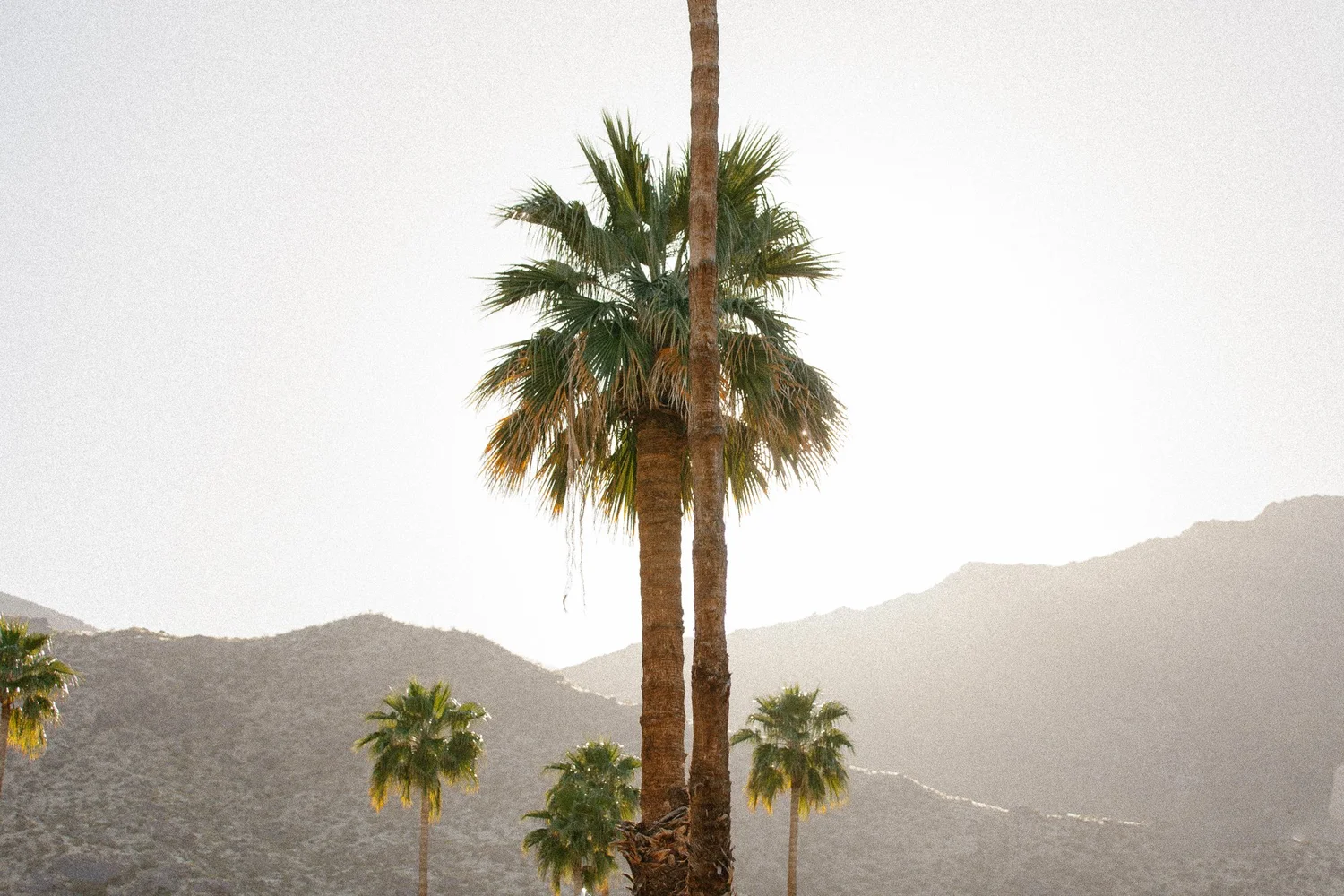 YARA HOTEL - Boutique Luxury Desert Oasis in Palm Springs
