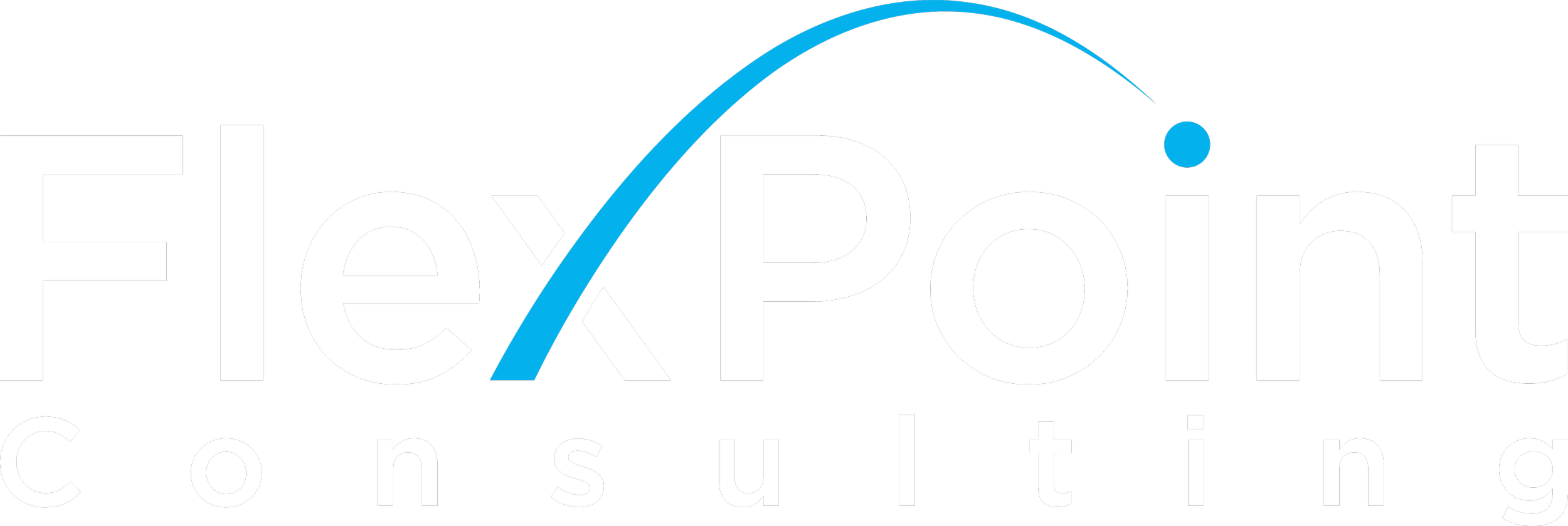 Flexpoint Logo