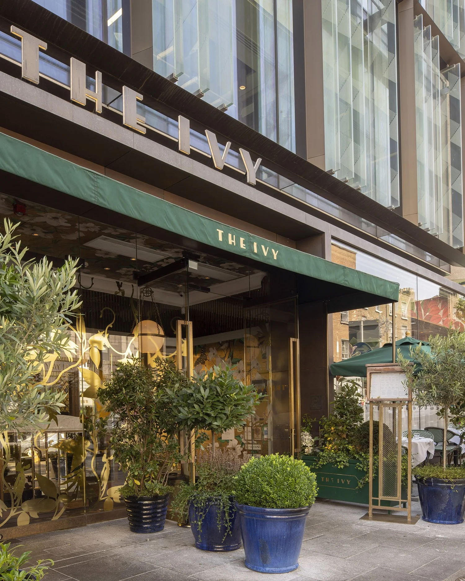 The Ivy Collection — Fionn McCann