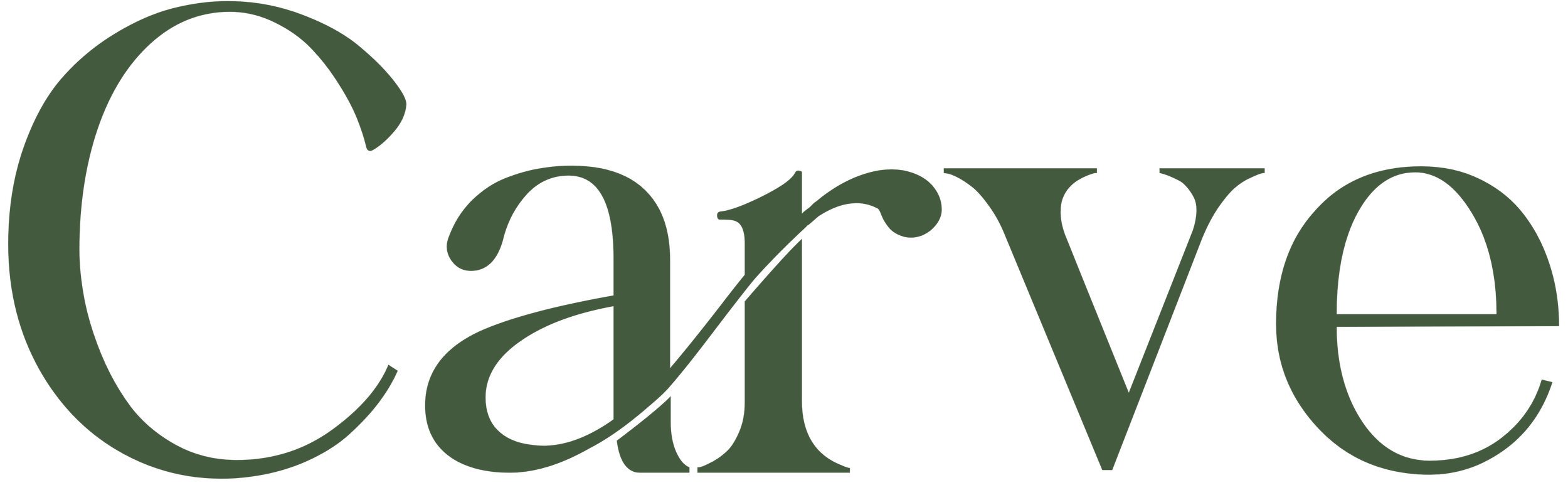 Carve Logo