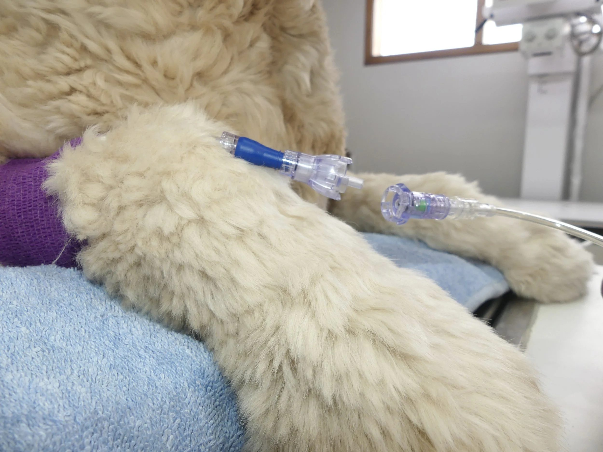 SafeBreak Vascular Vet — Lineus Medical