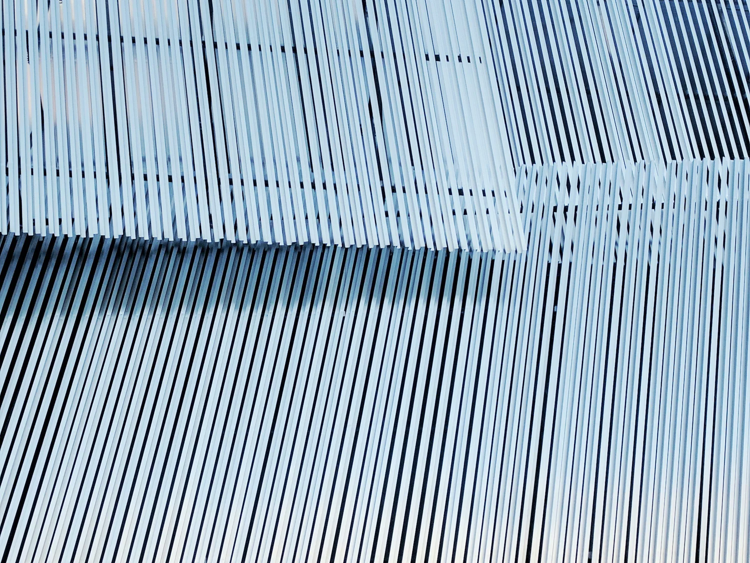 What Are the Paper Shredding Security Levels? | The Shredders