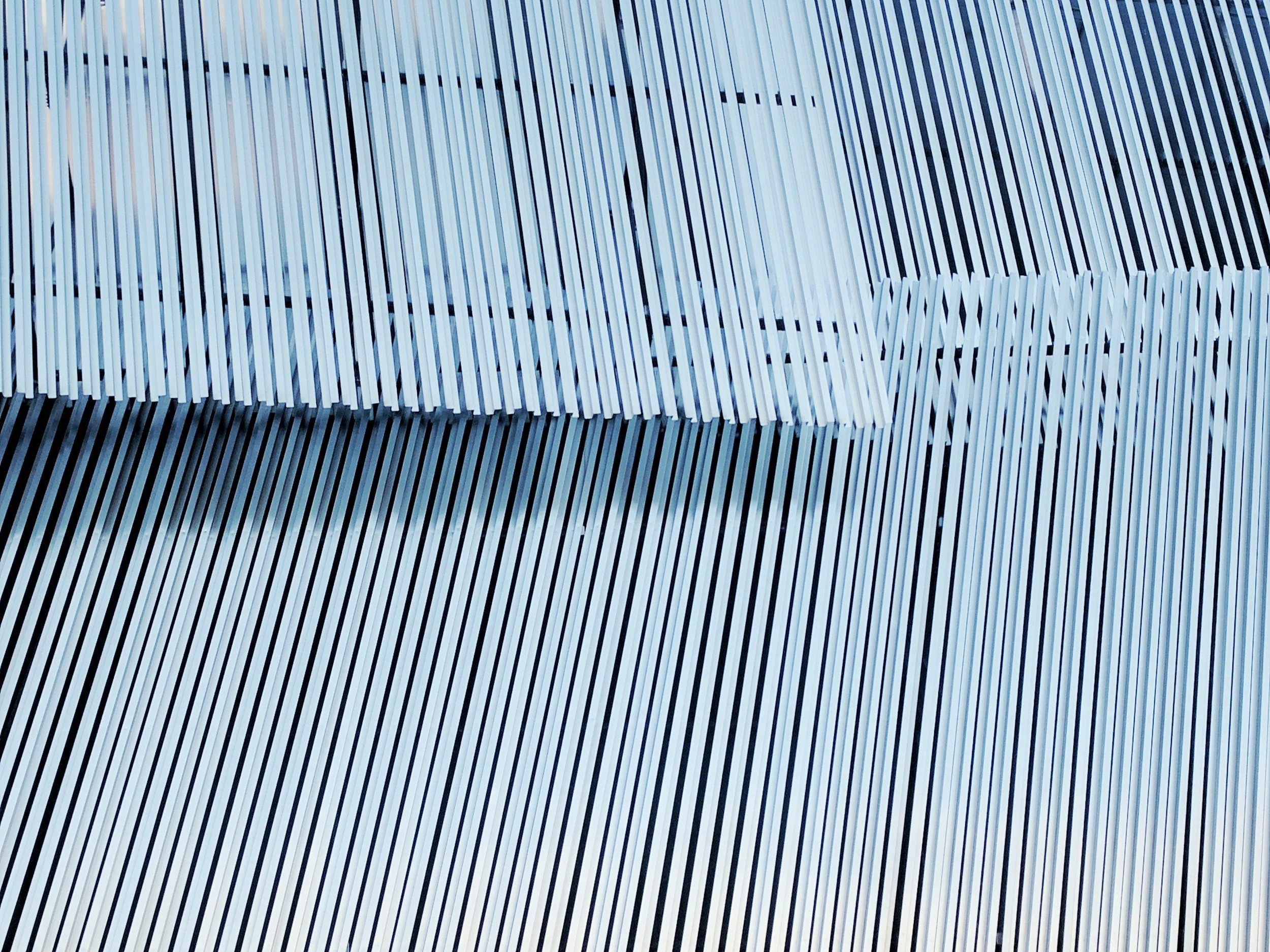 What Are the Paper Shredding Security Levels? | The Shredders