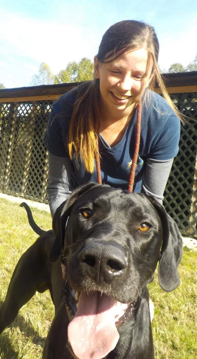 Meet Our Team — Veterinary Specialists of Hanover