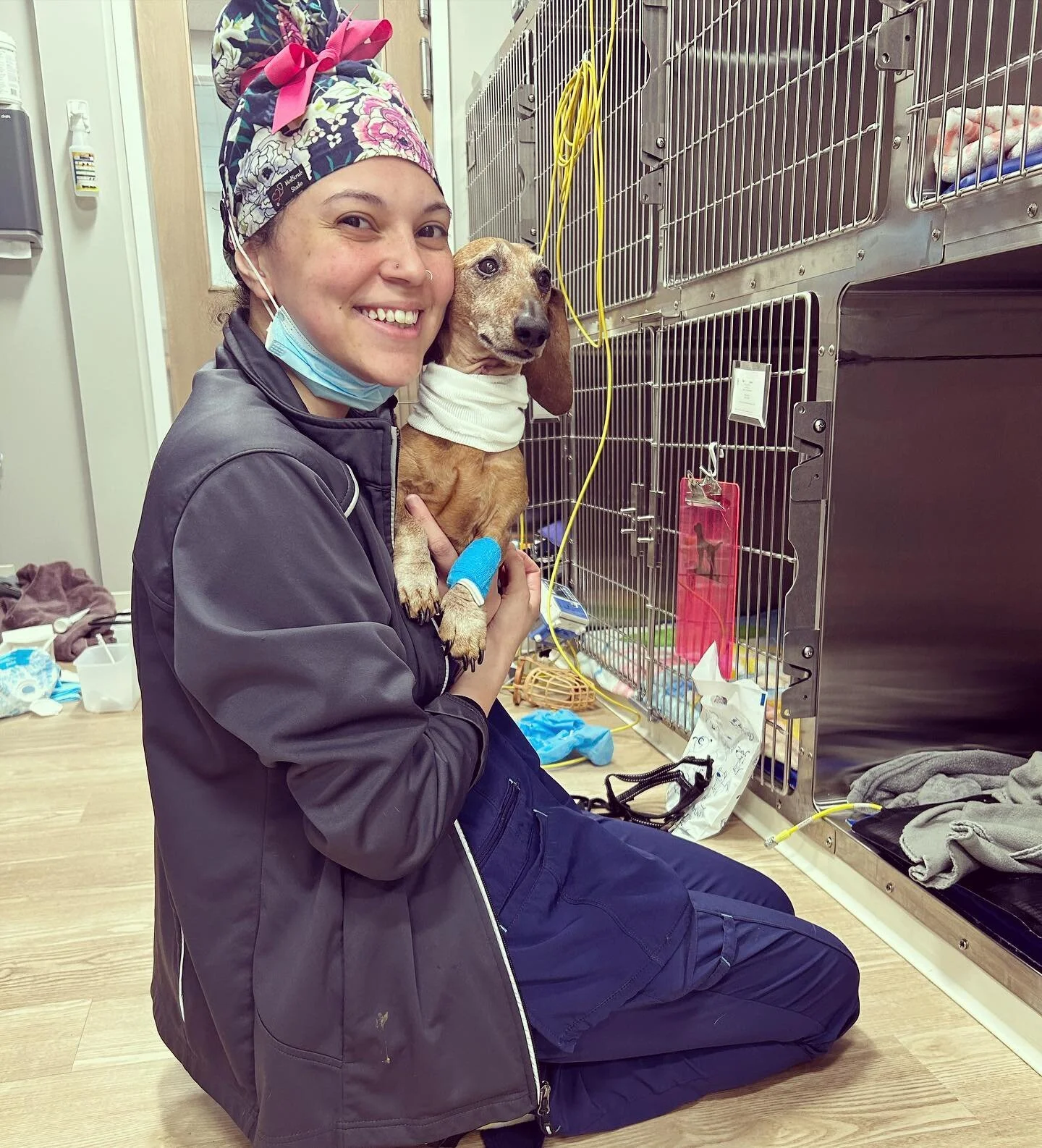 Veterinary Specialists of Hanover