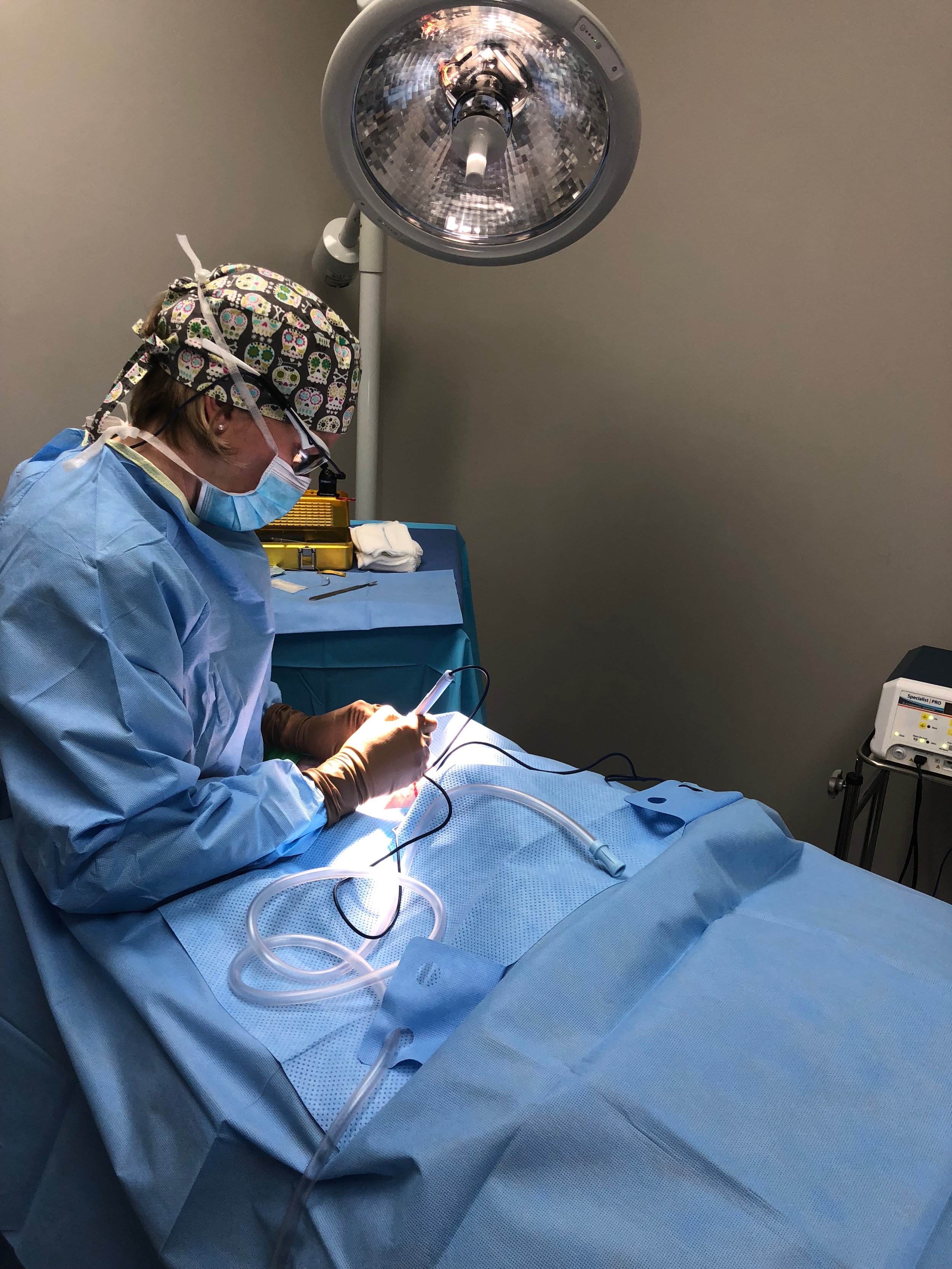 SURGERY — Veterinary Specialists of Hanover