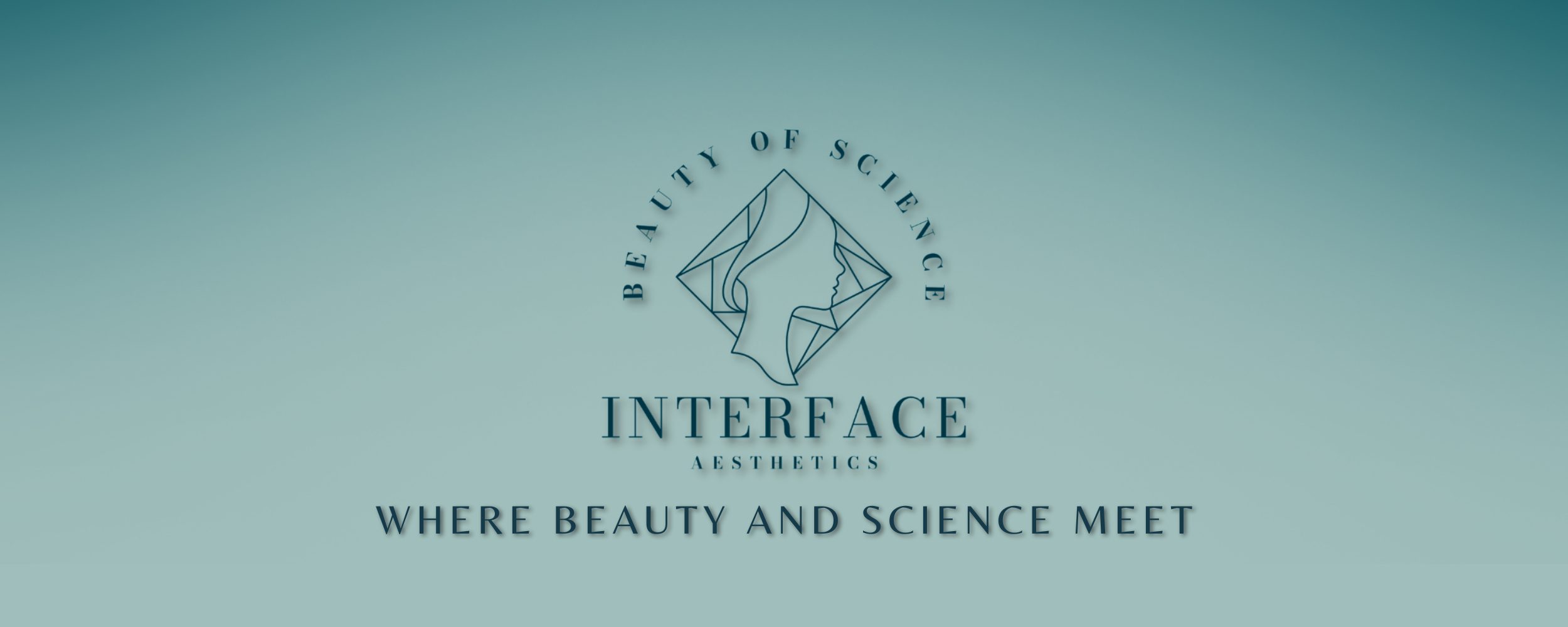 Meet the Team — Interface Aesthetics