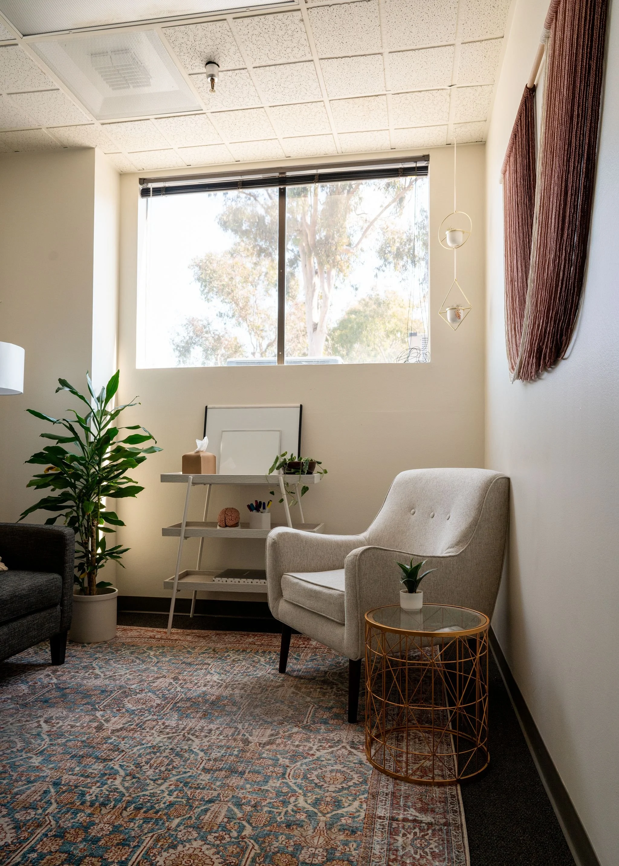 Services and Fees — Playa Vista Counseling