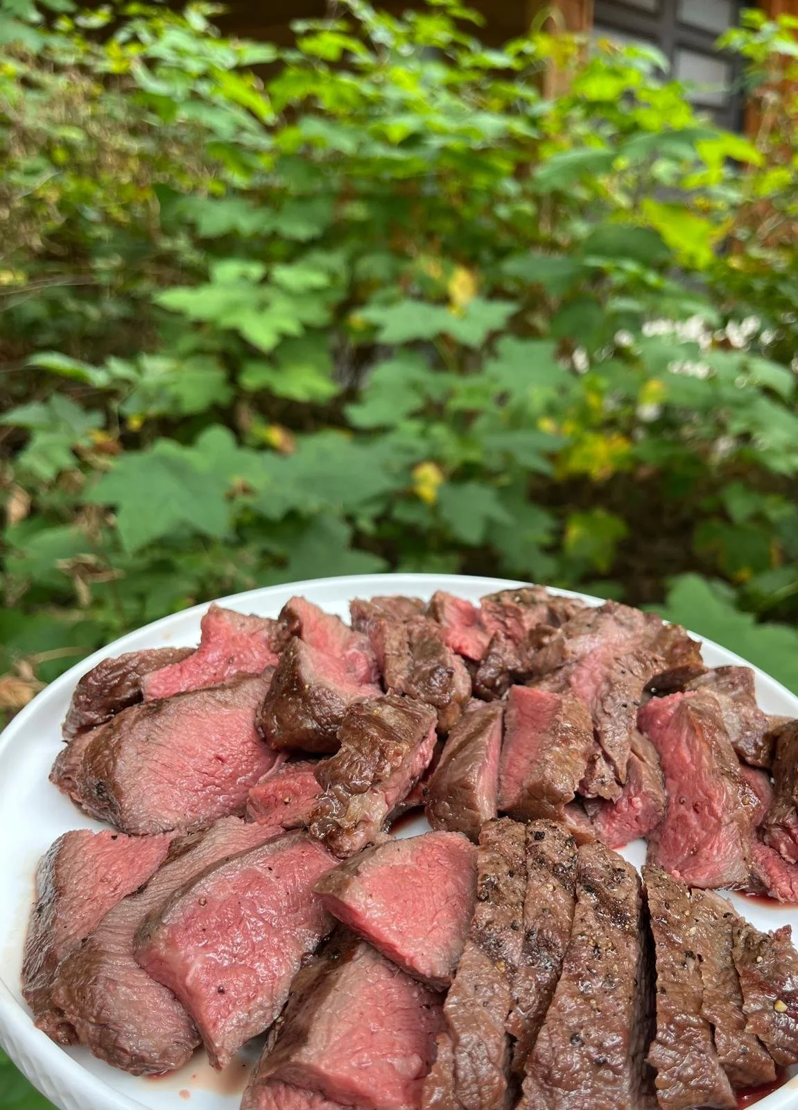 Noordenwind Farms | Black Angus Beef | American Wagyu Beef | Lynden, WA