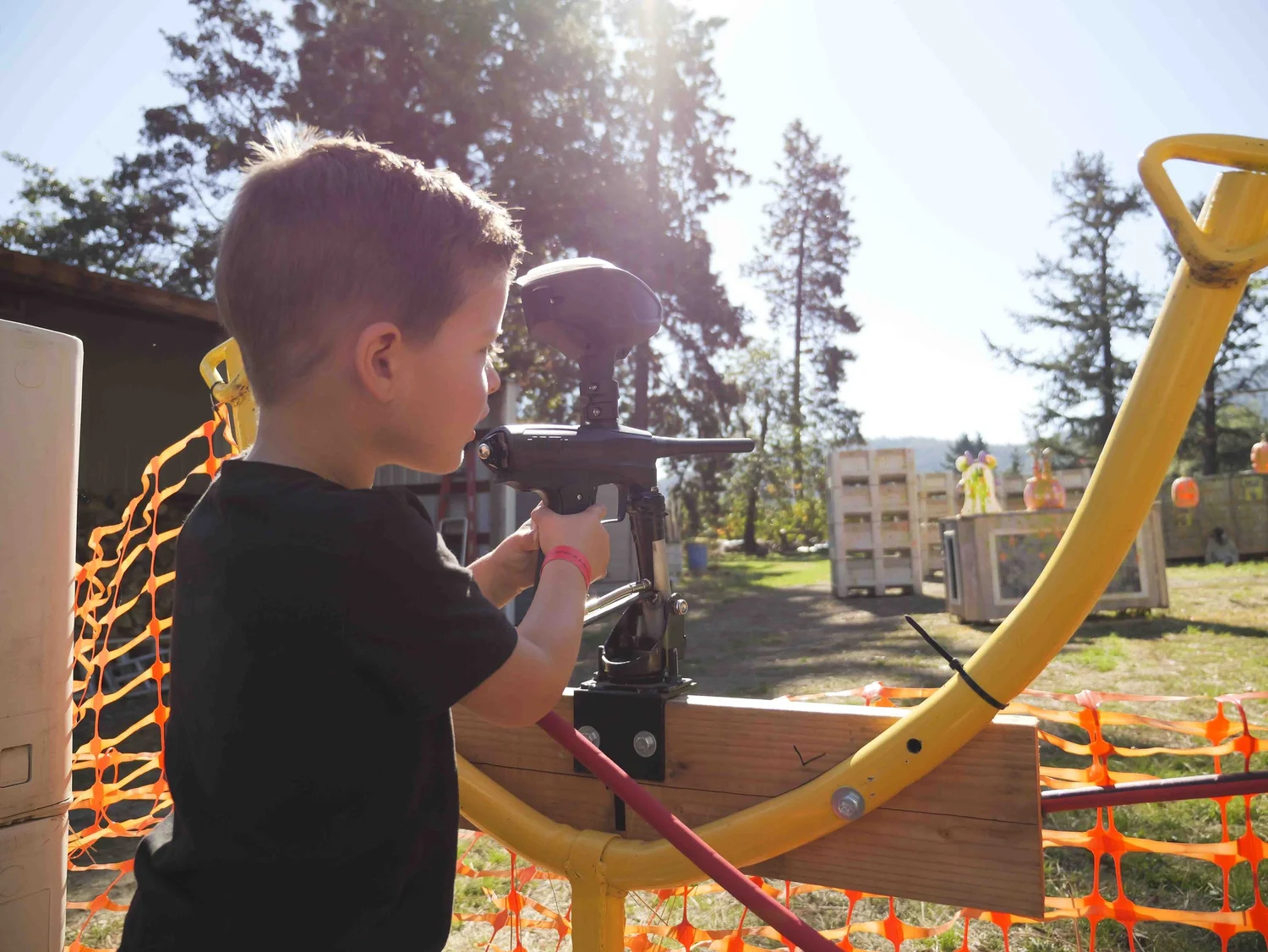 Farm Attractions — Pheasant Fields Farm