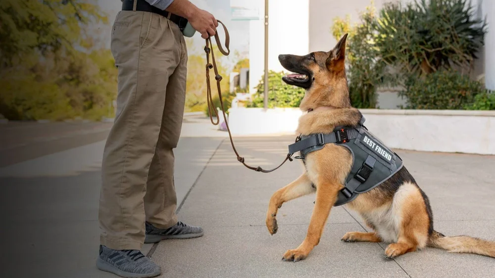 Meet the Team — KBF