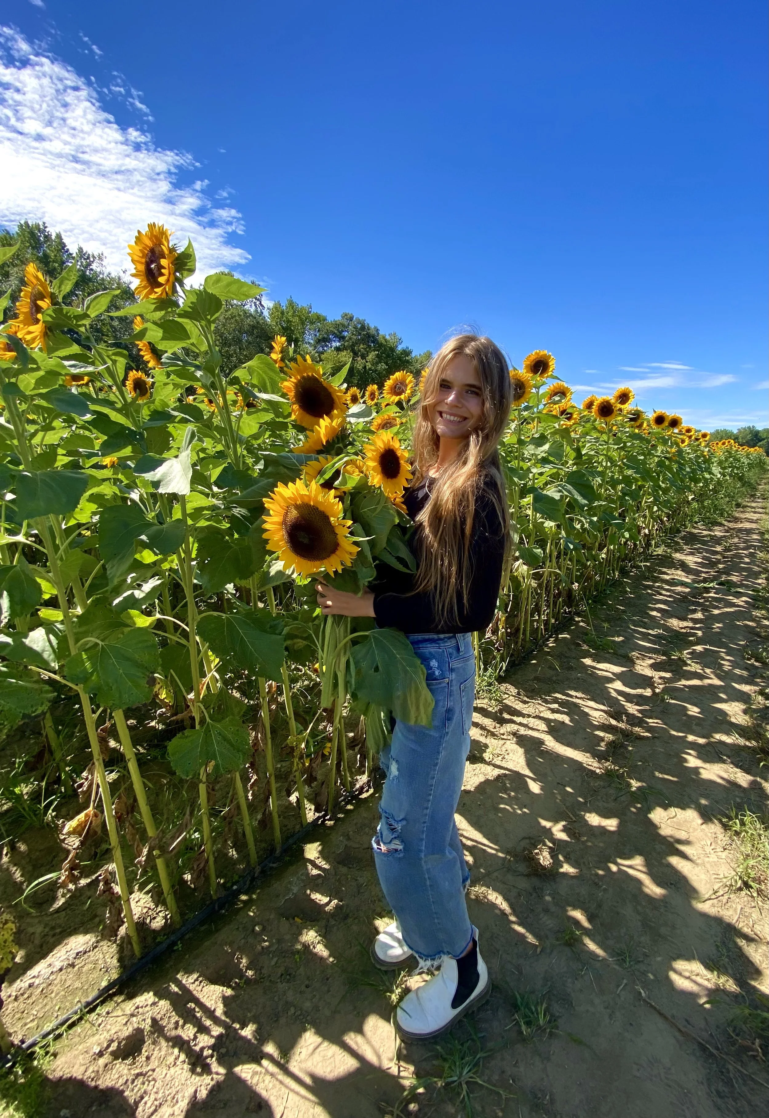 Team — Kauai Mental Health Advocates