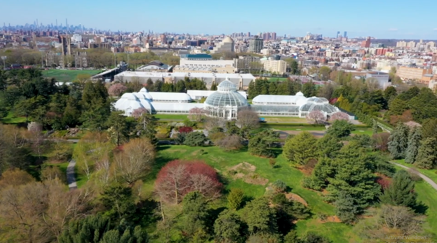 Yes Network: The Bronx Beat | BXEDC