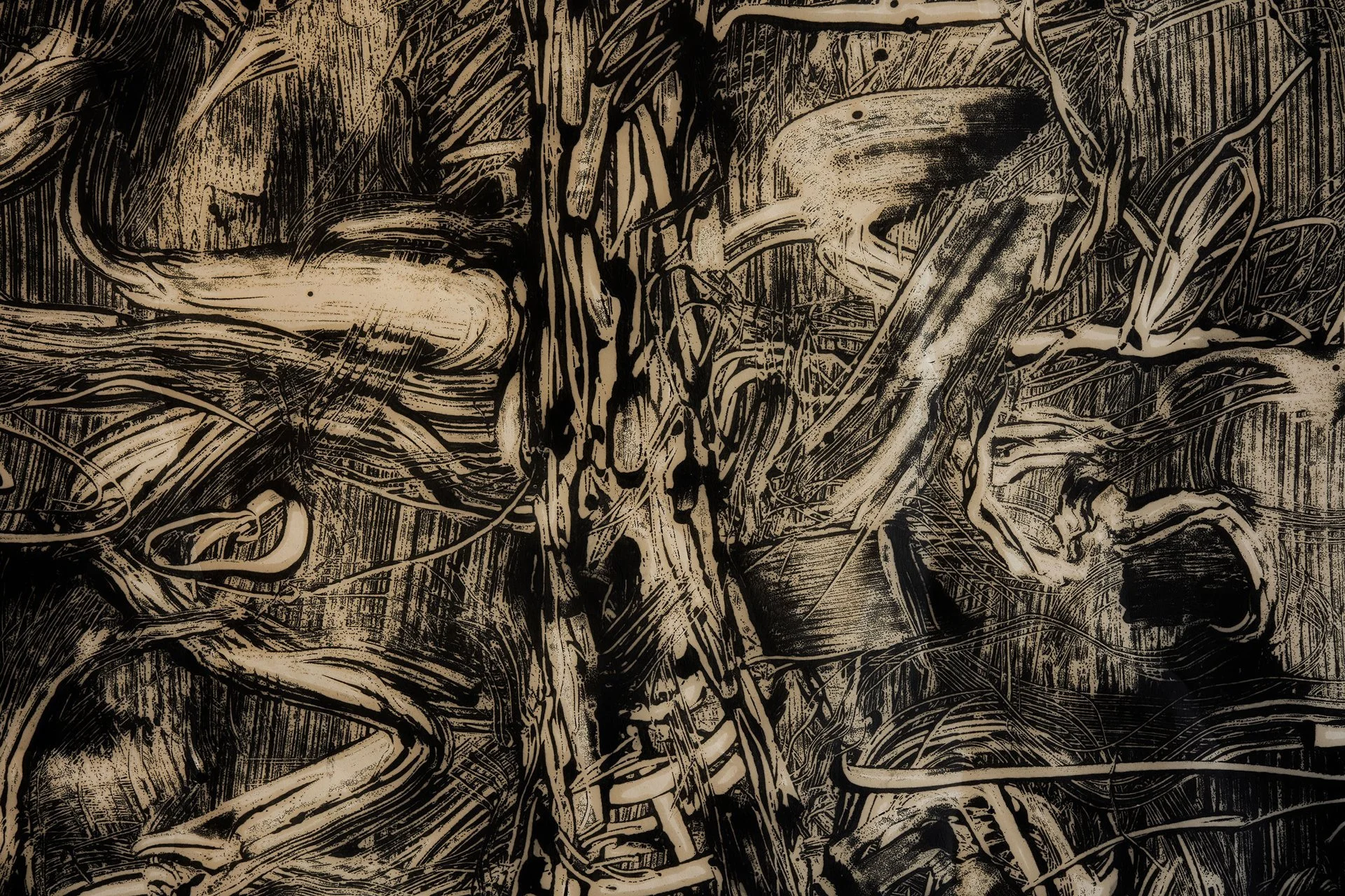 About — Paula Roland