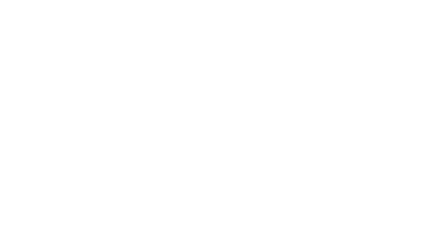 Palace Pub