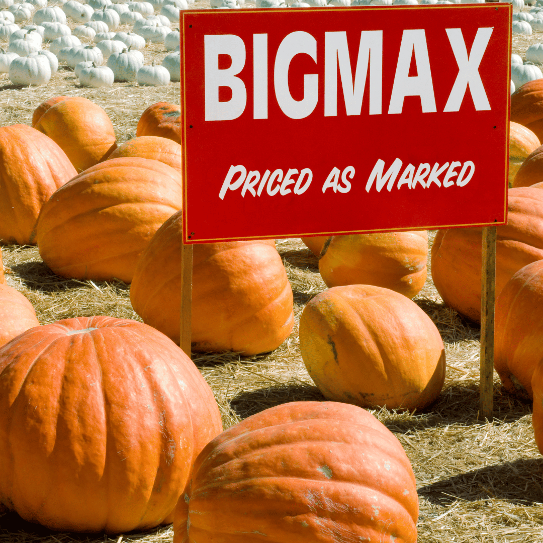 Types of Pumpkins [With Pictures] — Vegtotable