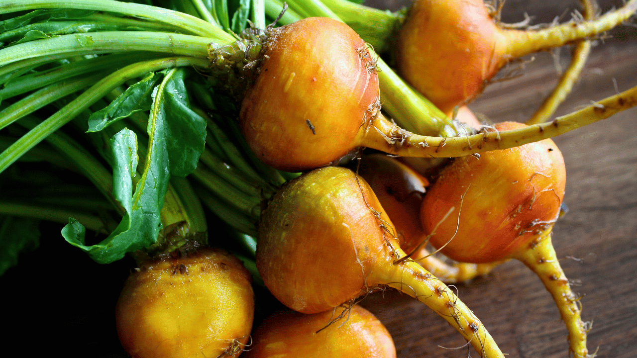 Growing Beets — Vegtotable