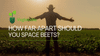 Growing Beets — Vegtotable
